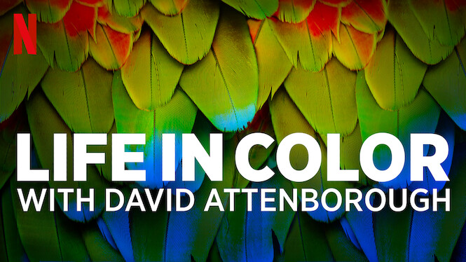 Life in Color with David Attenborough (2021) - Netflix | Flixable